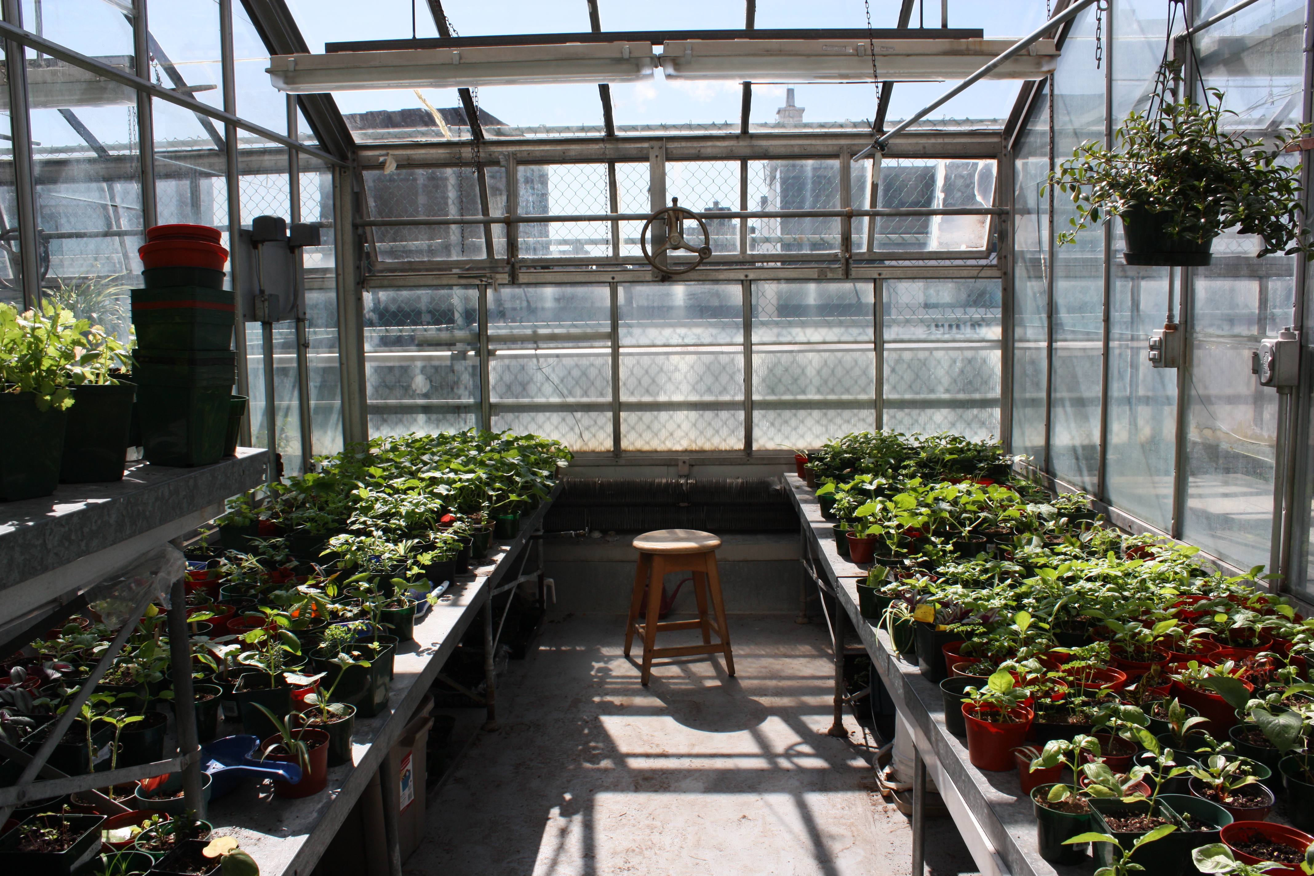 House Plant Project – Concordia Greenhouse Project