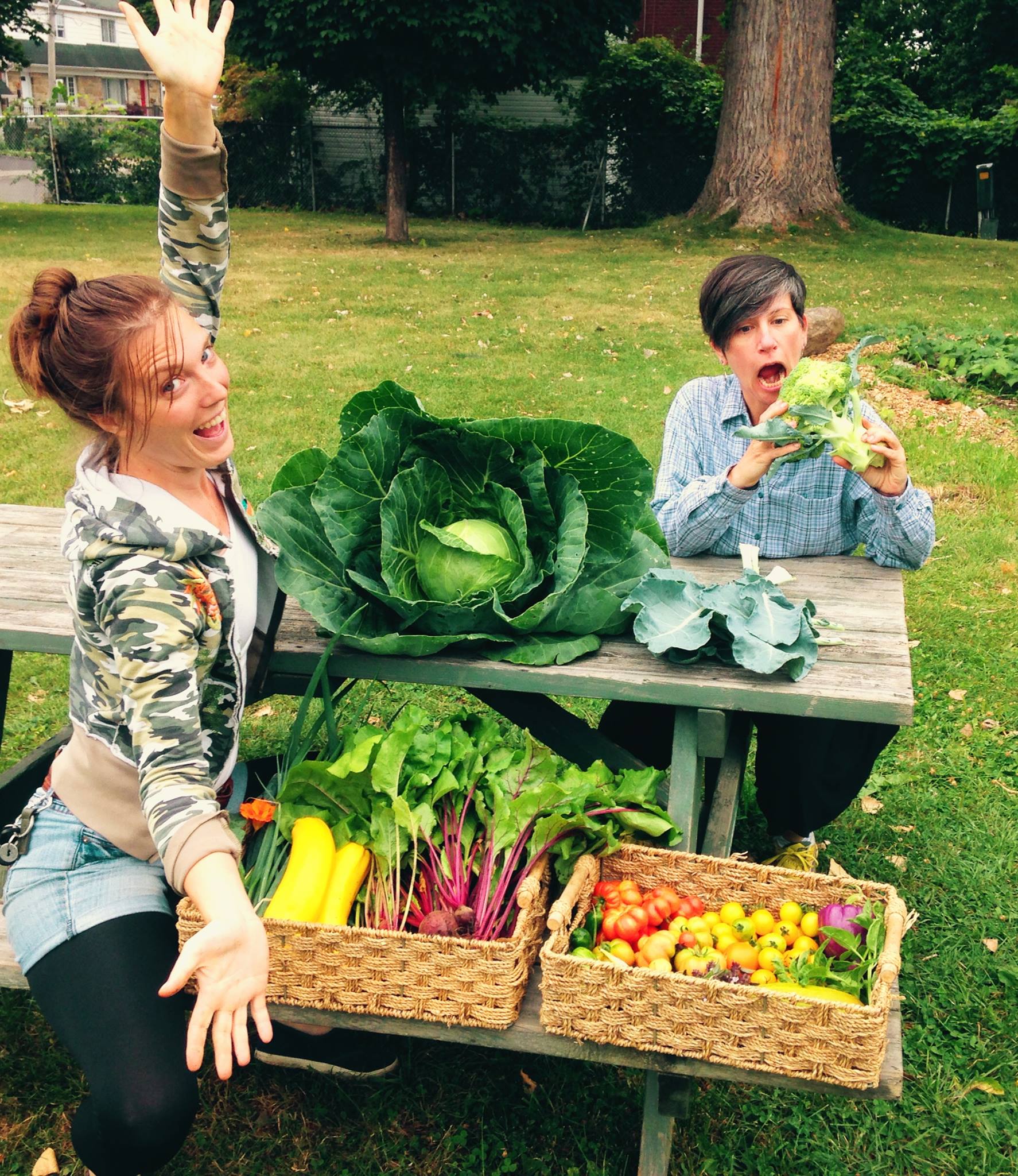 City Farm School – Concordia Greenhouse Project
